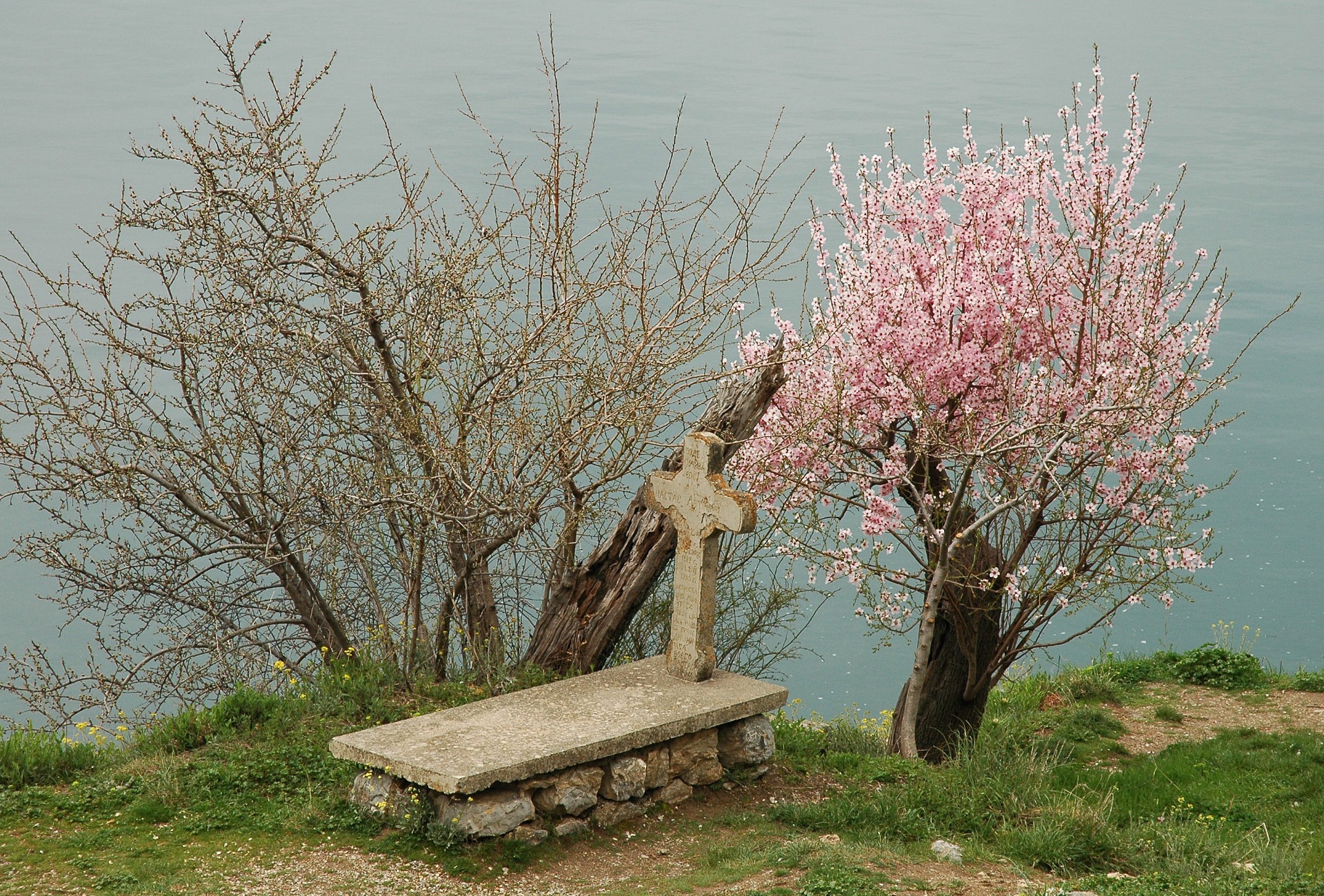 Vanha hauta ja kirsikkapuu :: Salonhelluntaisrk